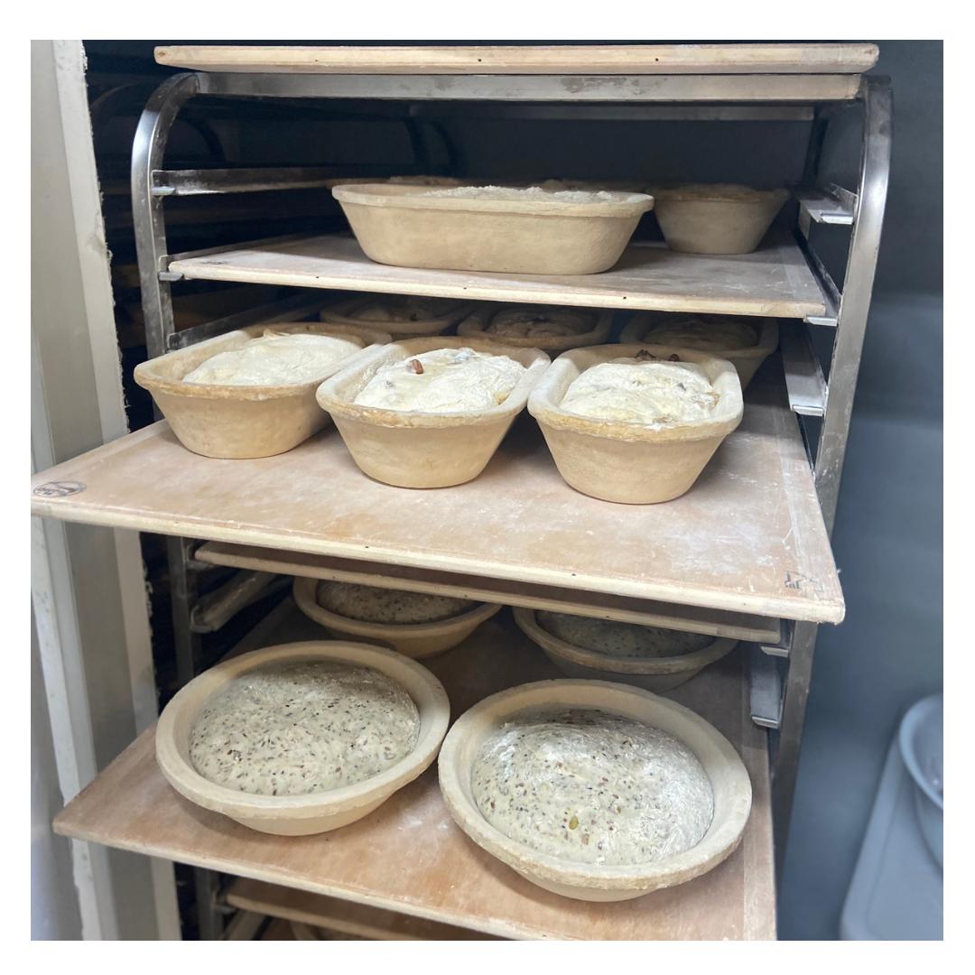 ¿Por qué es tan importante la fermentación del pan? – Vanille Bakery Lab